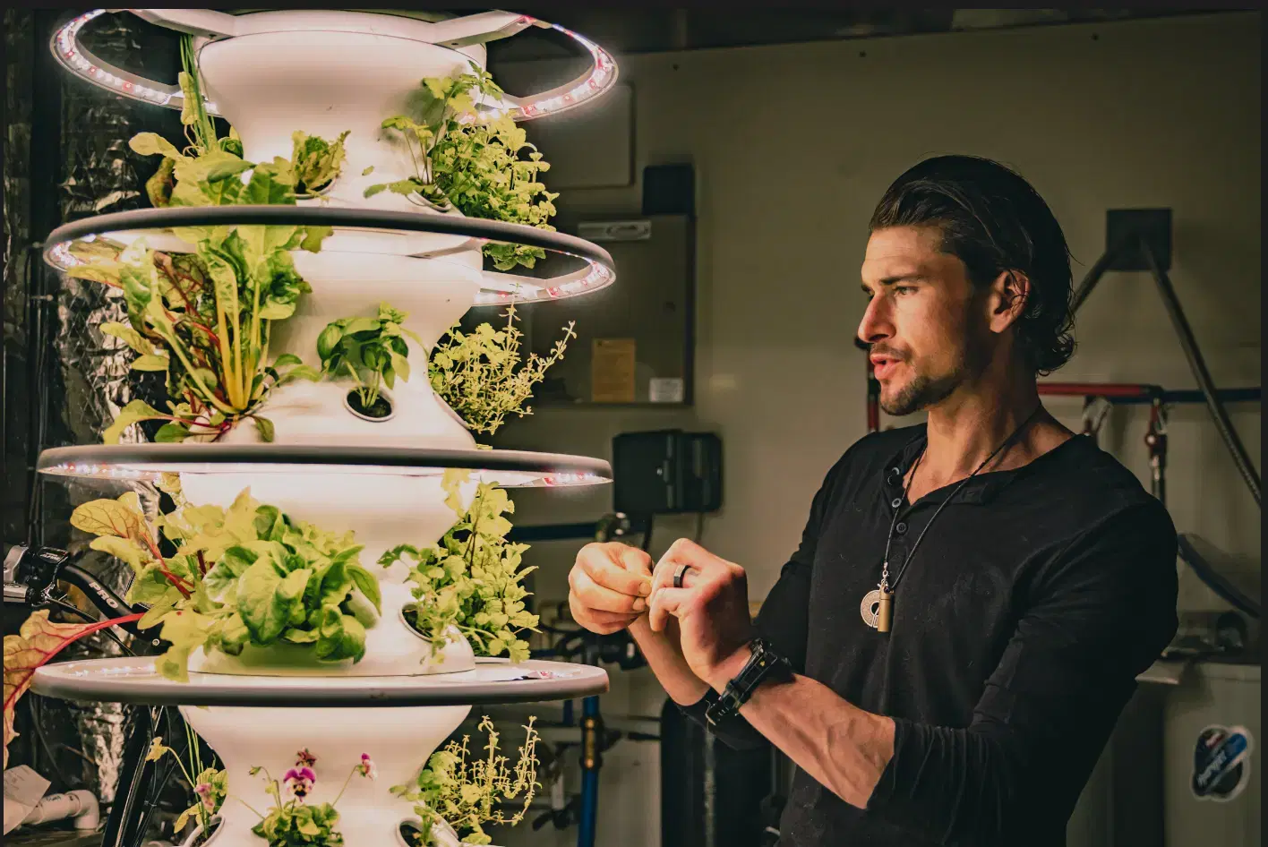 LIFE Network | Life Transformation Platform by Biohacker Ben Greenfield